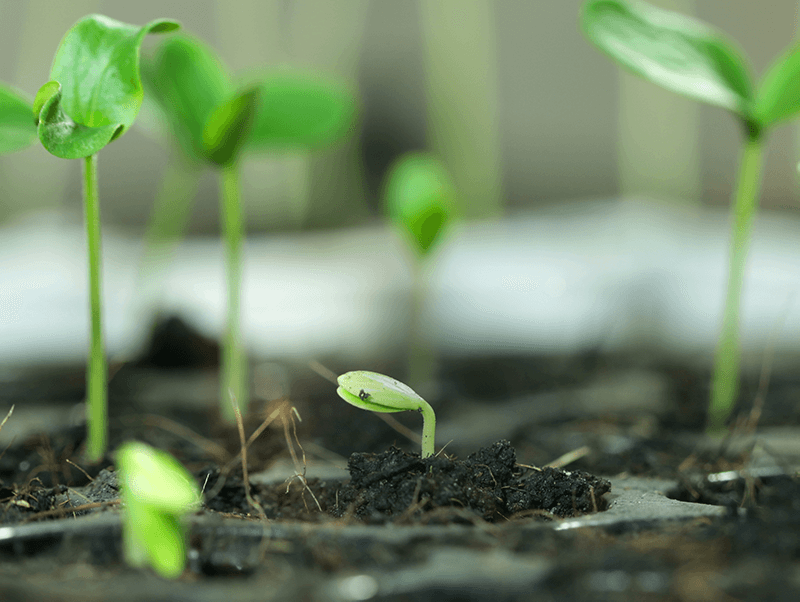 Time Lapse Camera | Time-lapse video display