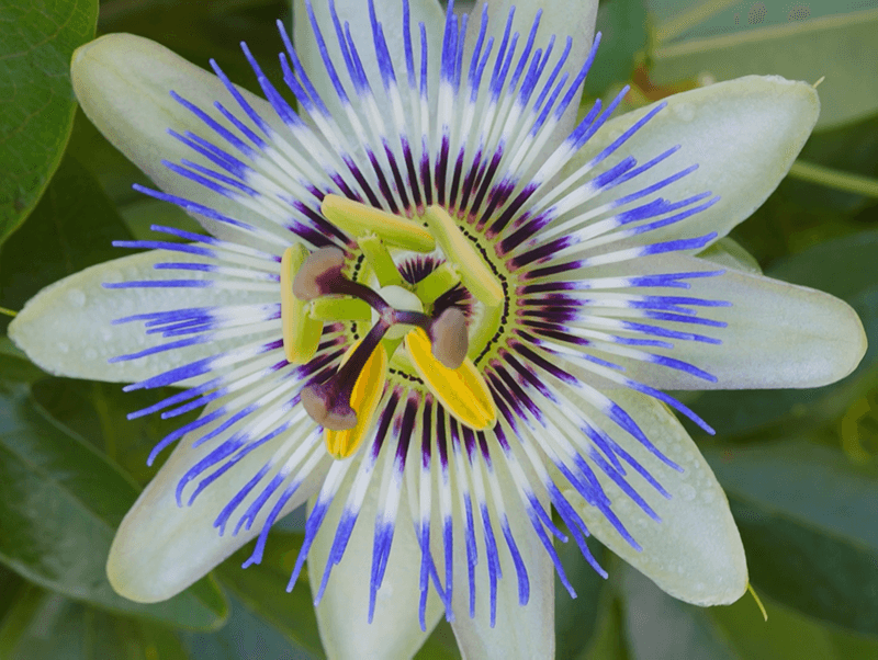 Time Lapse Camera | Time-lapse video display